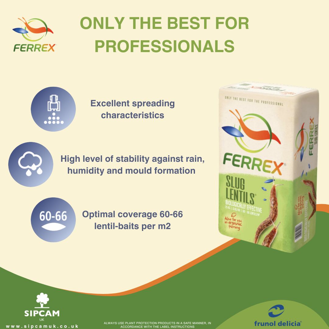 Ferrex gains label extension for use in potatoes – FERREX